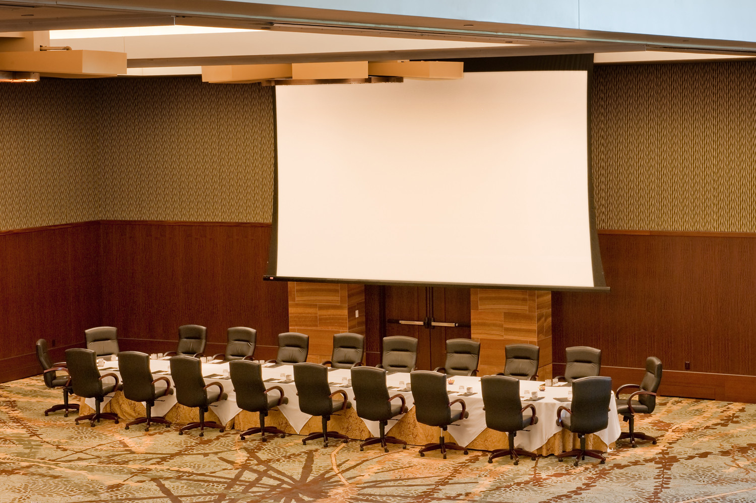 Tensioned 3d Movie Theater Projection Screen , Widescreen Roll Up ...